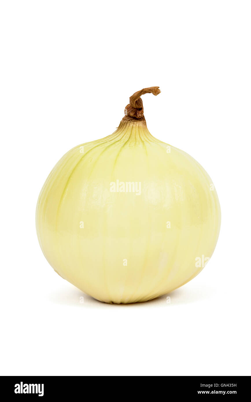 Onion isolated on white background with clipping path Stock Photo - Alamy