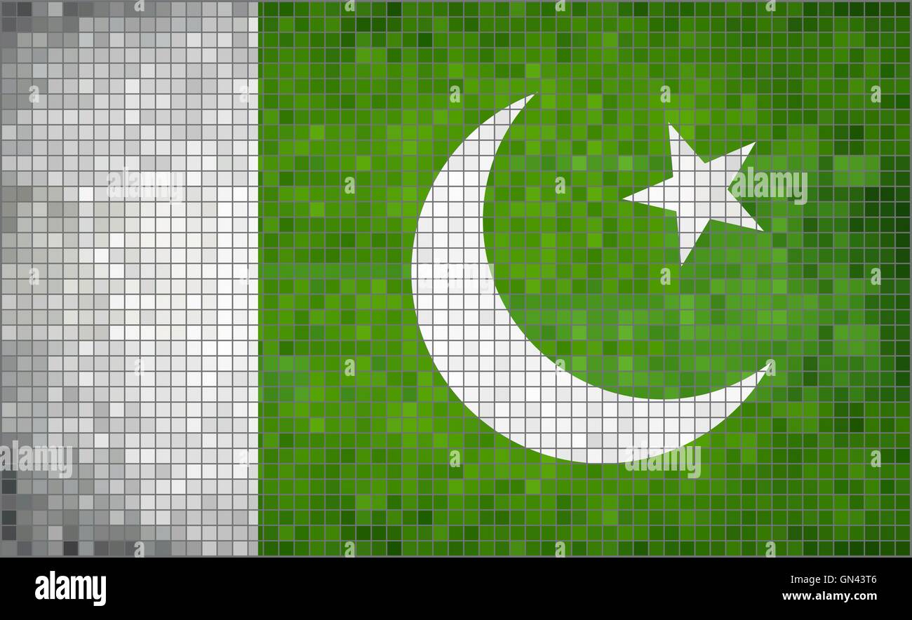 Flag of Pakistan Stock Vector Image & Art - Alamy