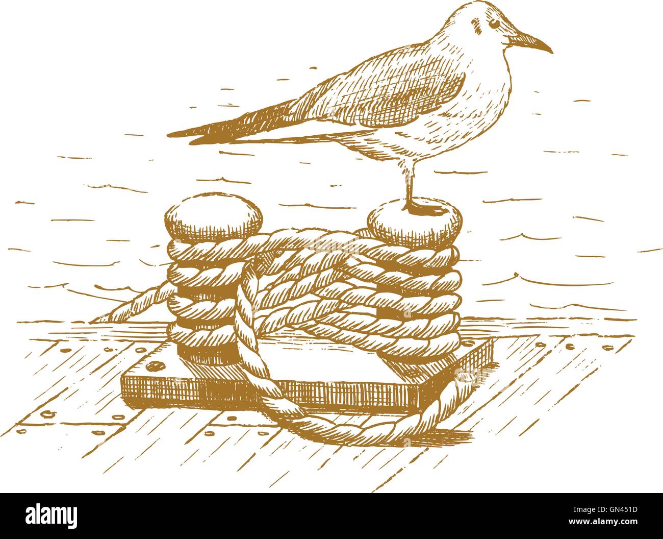 Seagull on journey Stock Vector Images - Alamy