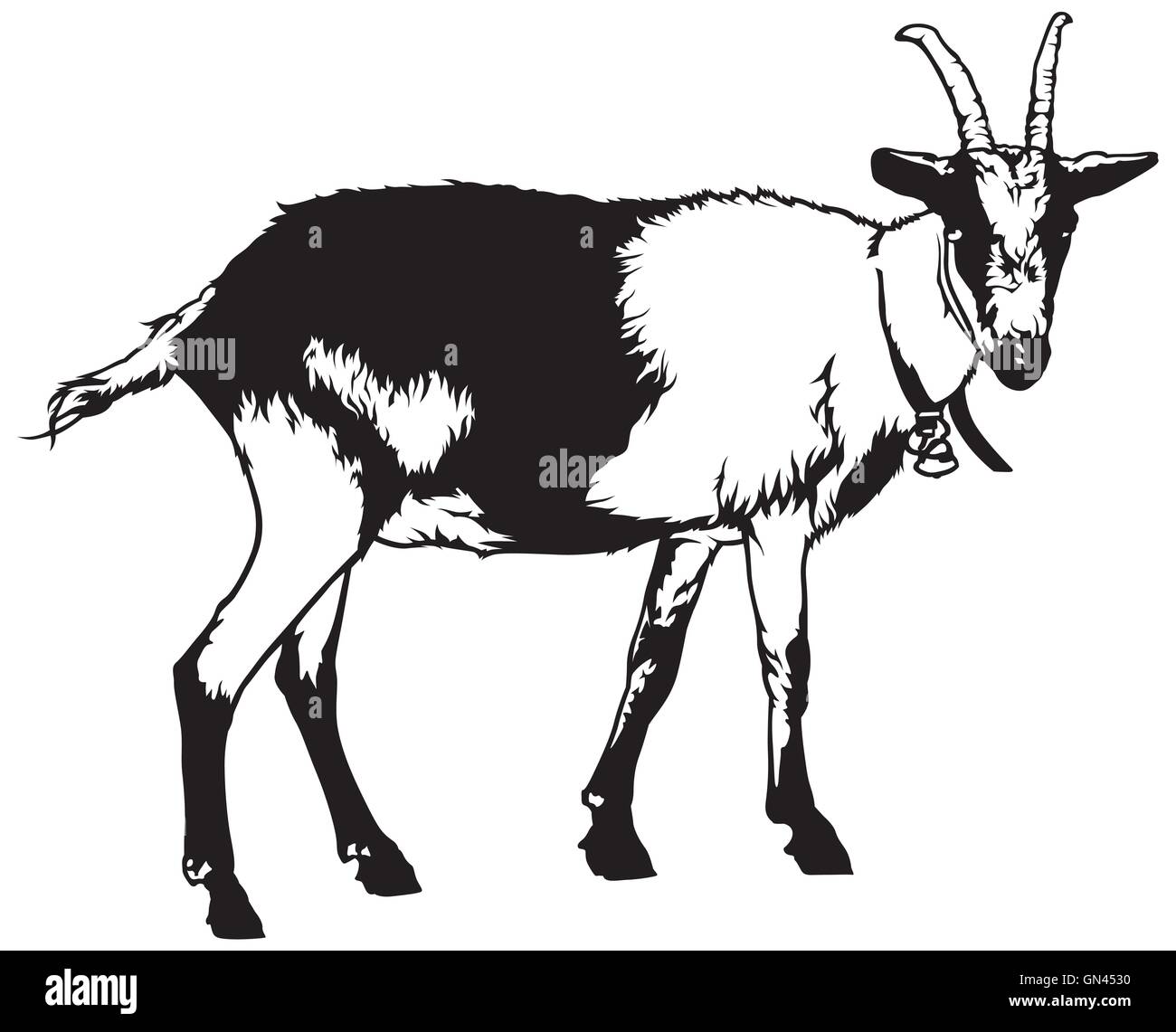 Profile of goat Cut Out Stock Images & Pictures - Alamy