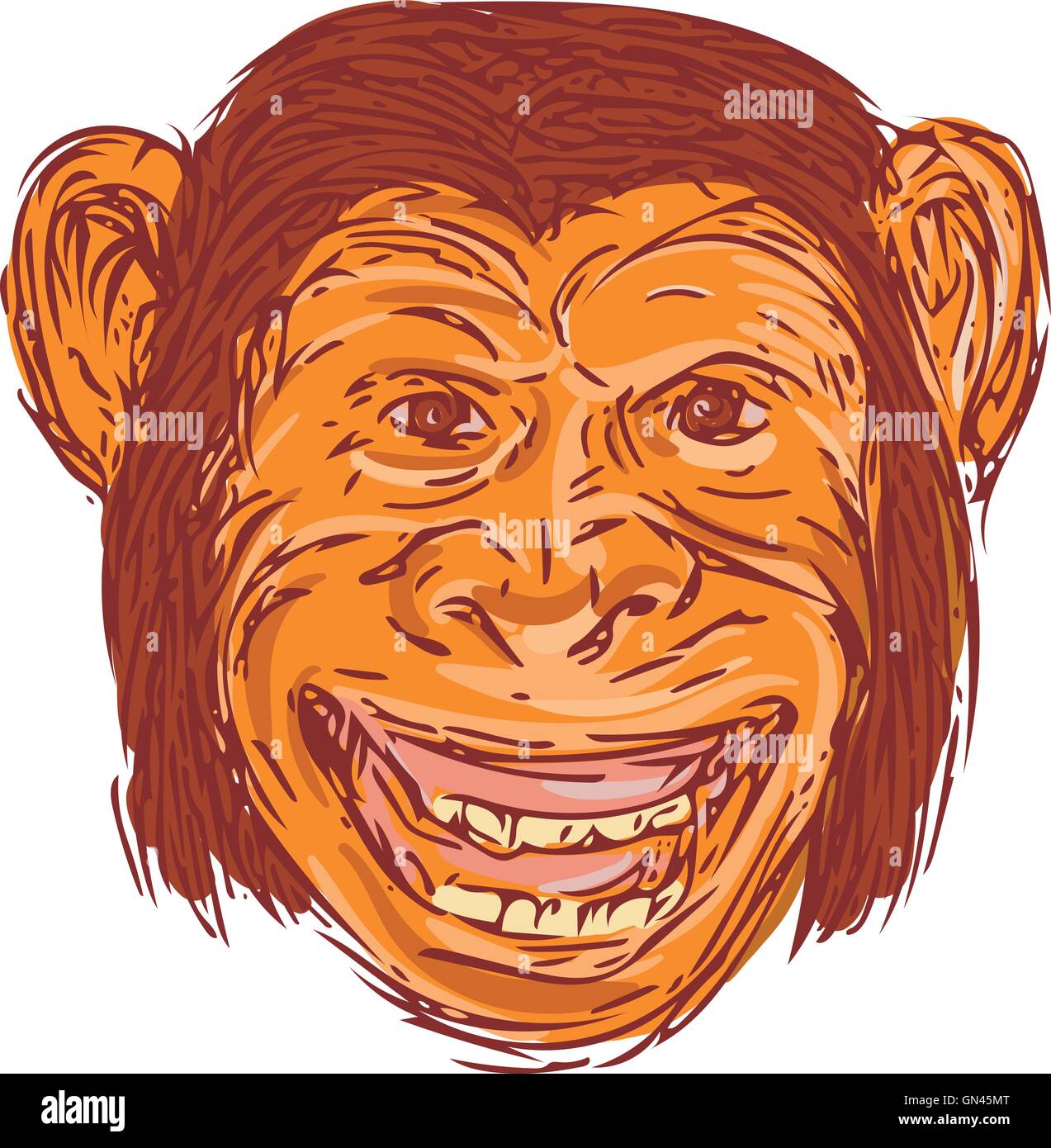 Chimpanzee Head Front Isolated Drawing Stock Vector Image & Art - Alamy