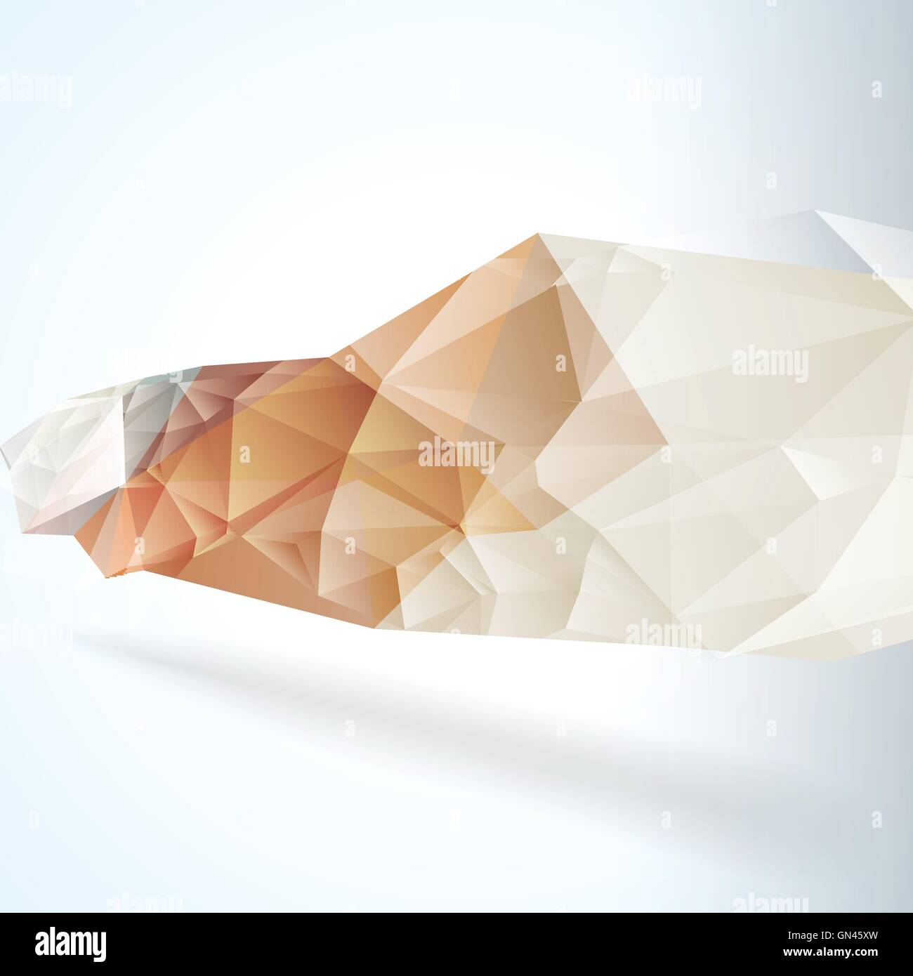 Geometric Triangular Abstract Vector Background Stock Vector Image And Art Alamy