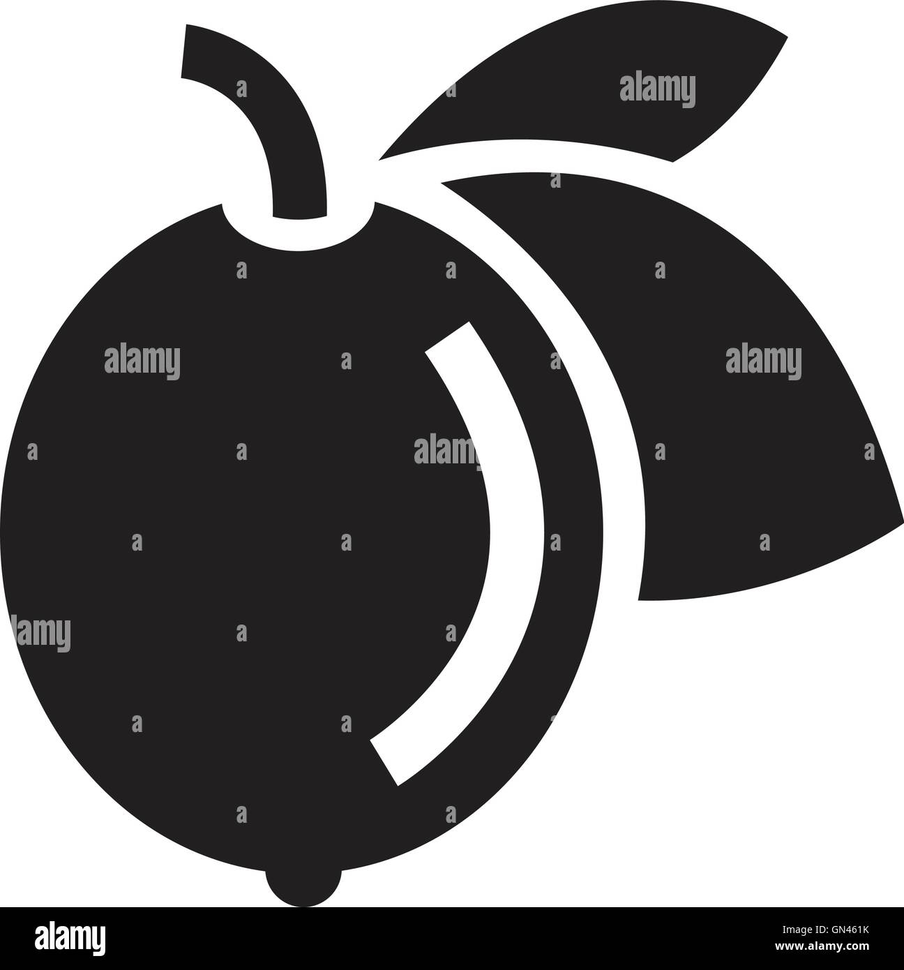 Cross section sliced fresh Stock Vector Images - Alamy