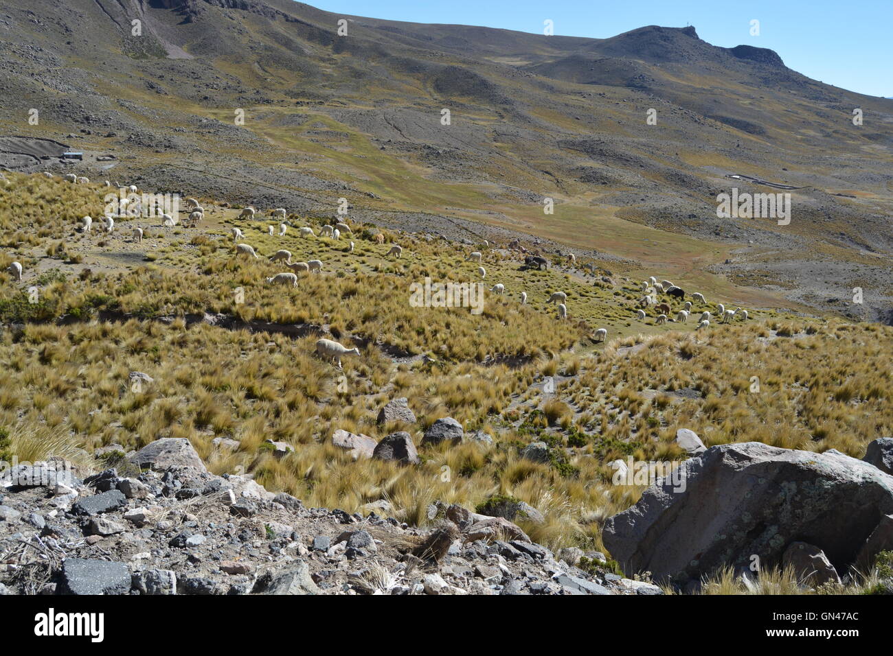 Misti Volcano, stratovolcano in the Andes of southern Peru Stock Photo ...