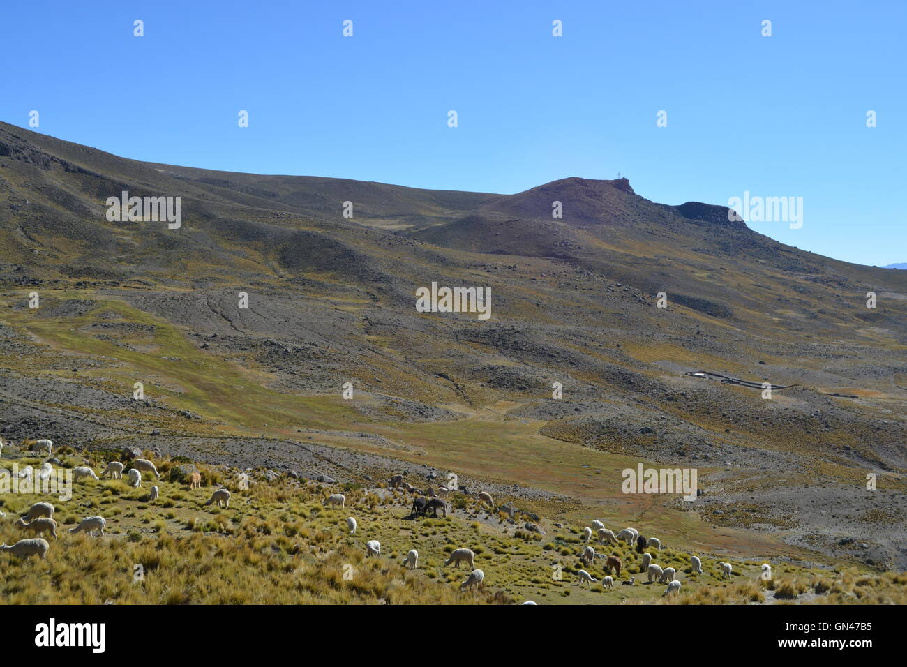 Misti Volcano, stratovolcano in the Andes of southern Peru Stock Photo ...