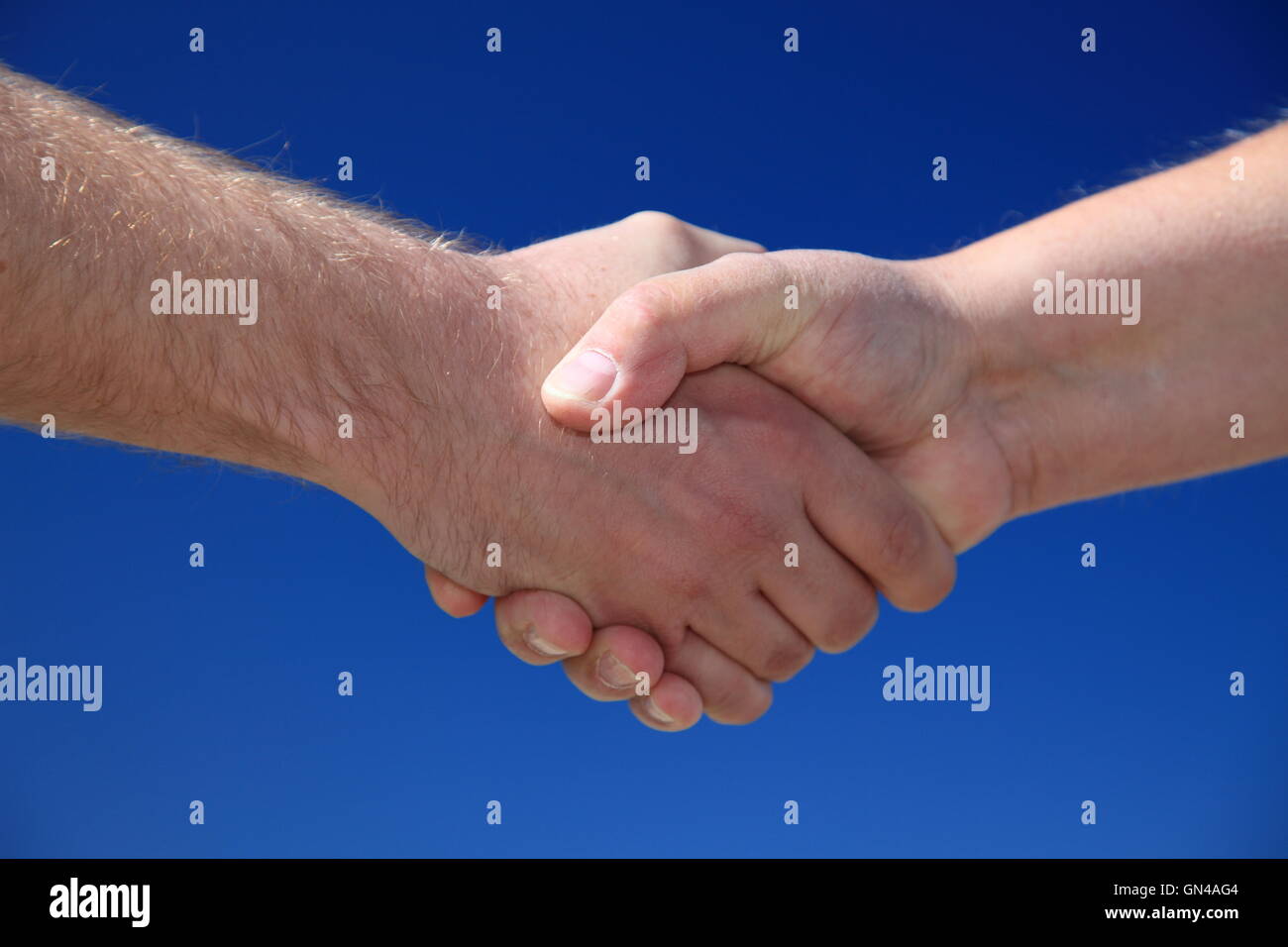 Declaration of loyalty hi-res stock photography and images - Alamy