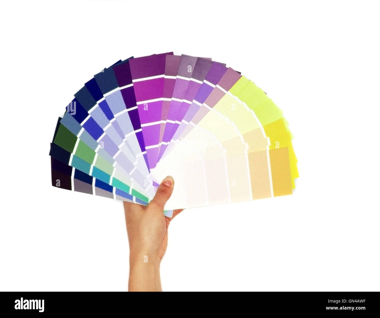 layout of colored paper on a white background Stock Photo - Alamy