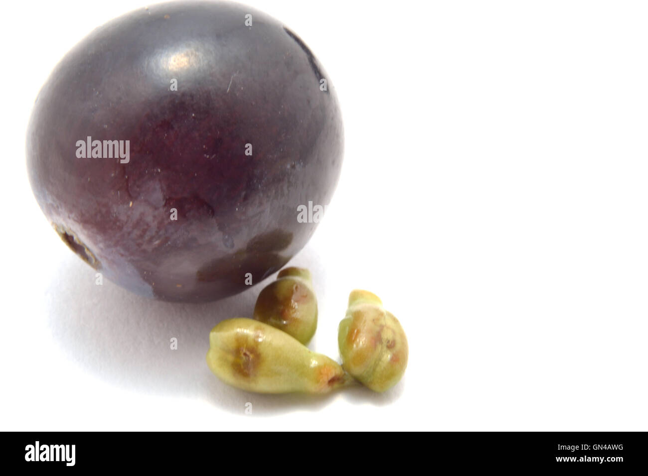 Black grape hi-res stock photography and images - Alamy