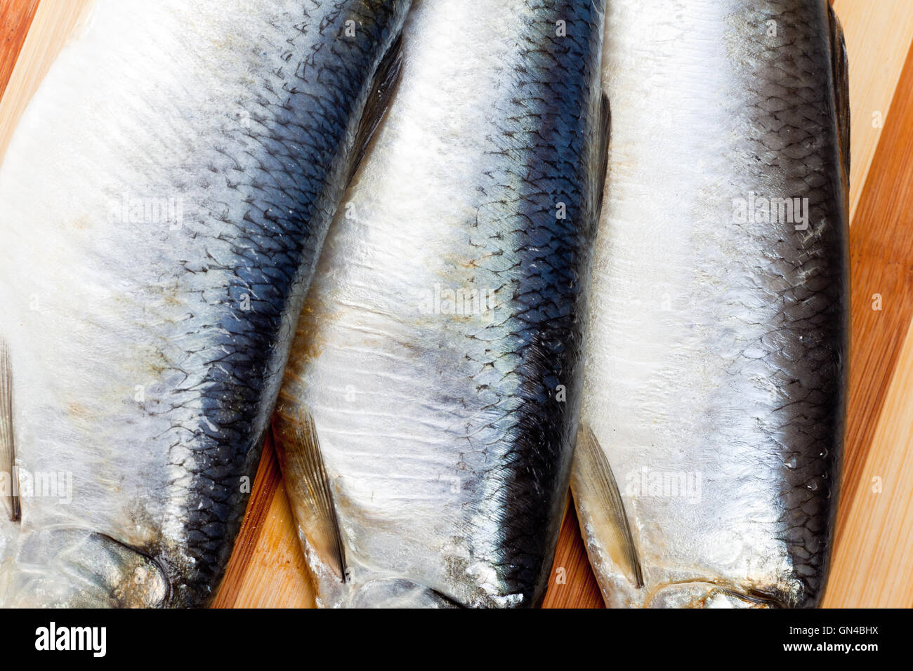 Fresh fishes on board Stock Photo - Alamy