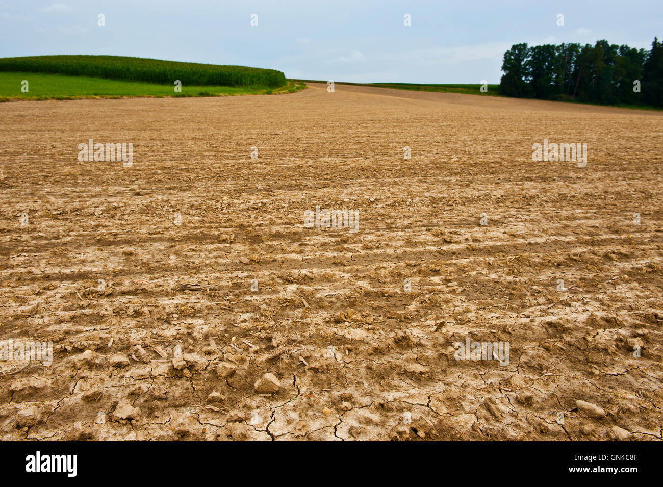 Soil grass lump hi-res stock photography and images - Alamy
