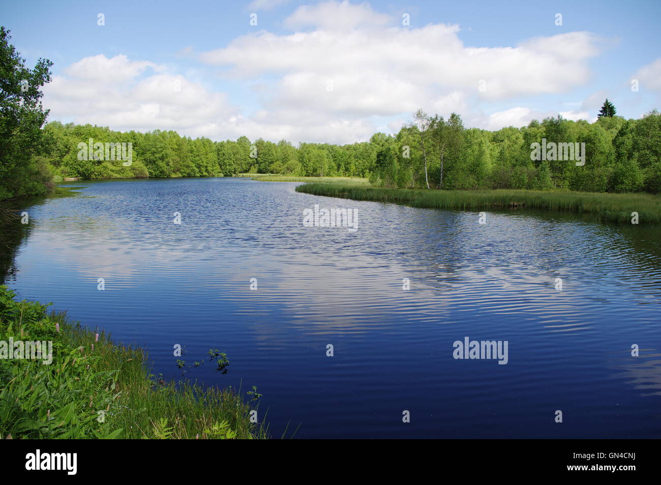 Untouched nature / summer landscape Stock Photo - Alamy