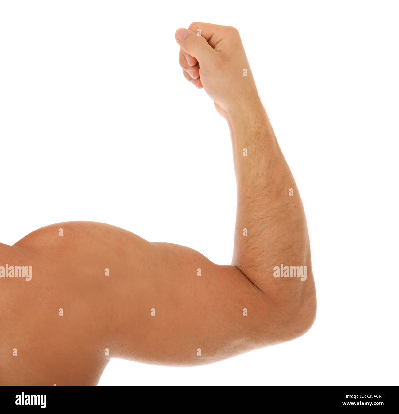 Upper arm muscles hi-res stock photography and images - Alamy