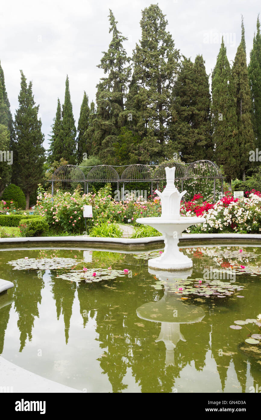 Pool with water lilies in the Nikitsky Botanical garden Stock Photo - Alamy