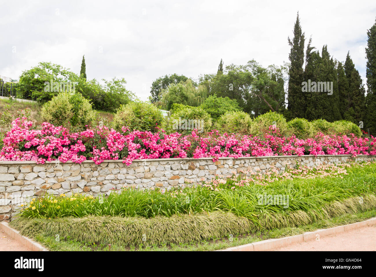 Beautiful flowers outside in the flowerbed Stock Photo - Alamy