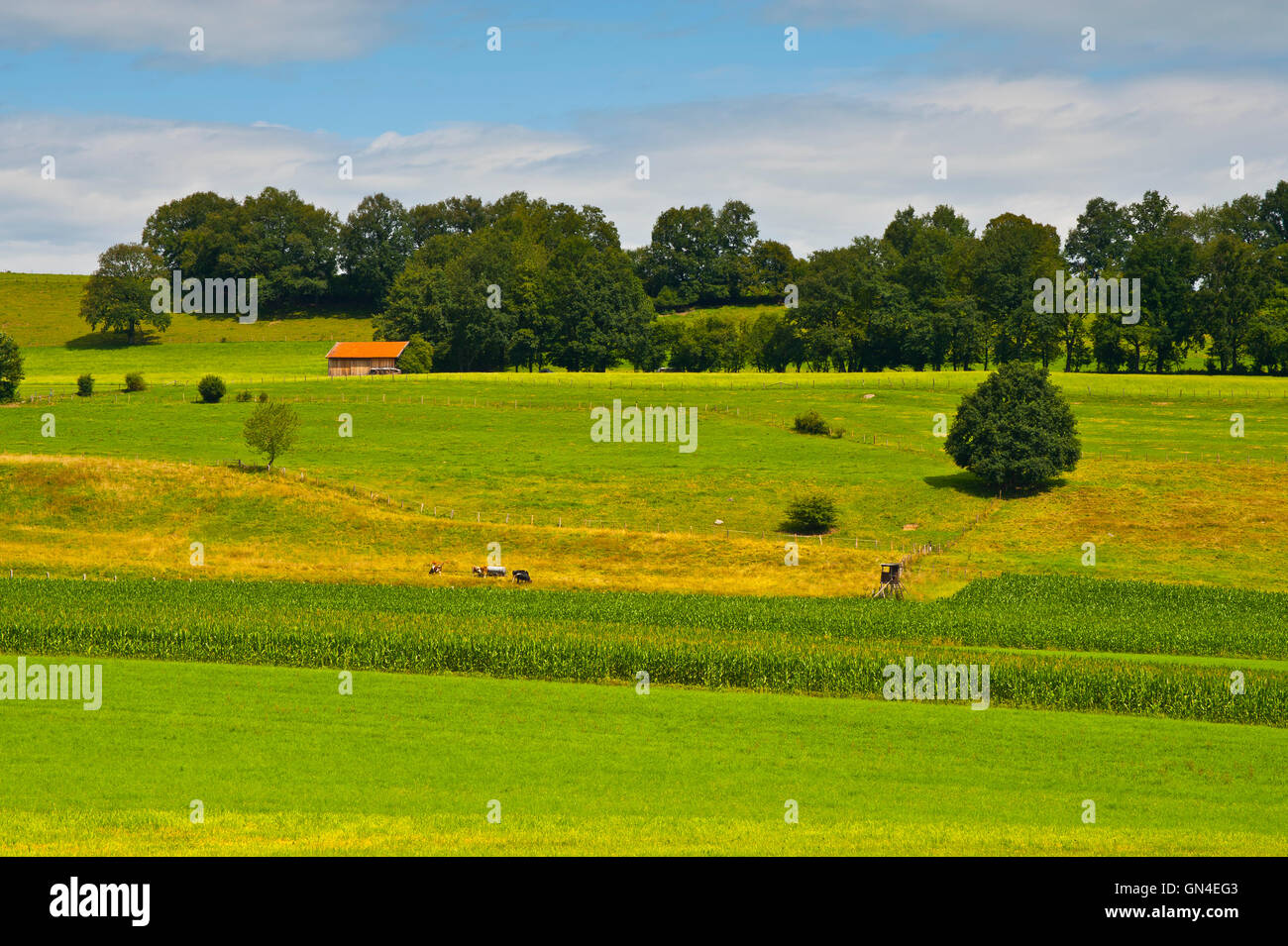 Germany Landscape Stock Photo - Alamy