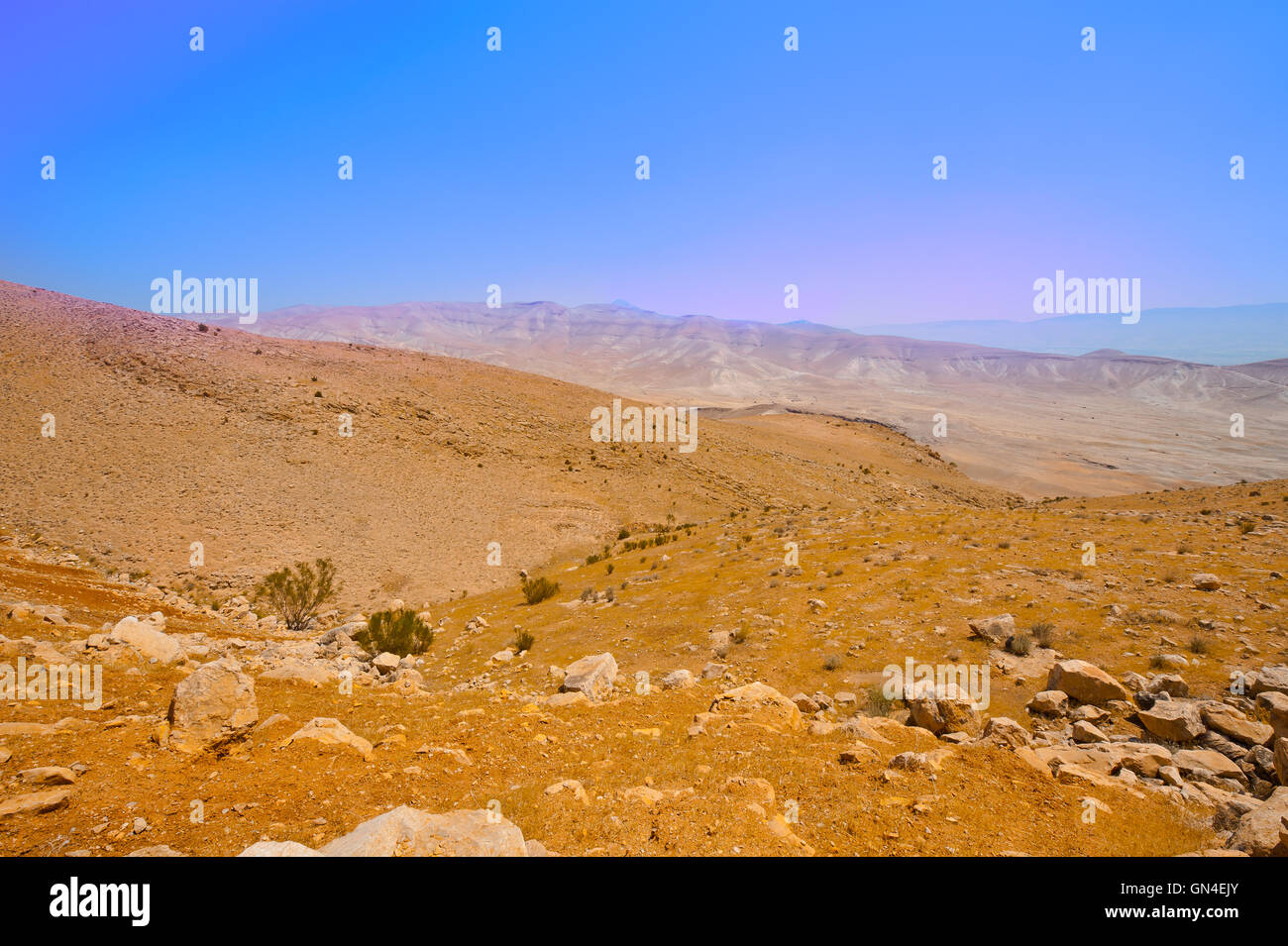 Waste land with shrubs hi-res stock photography and images - Alamy