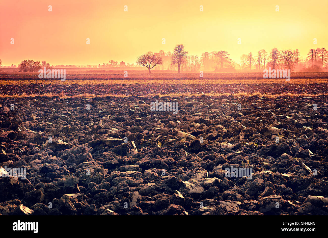 plowed soil. spring field. sunset over ploughed field. Countryside ...