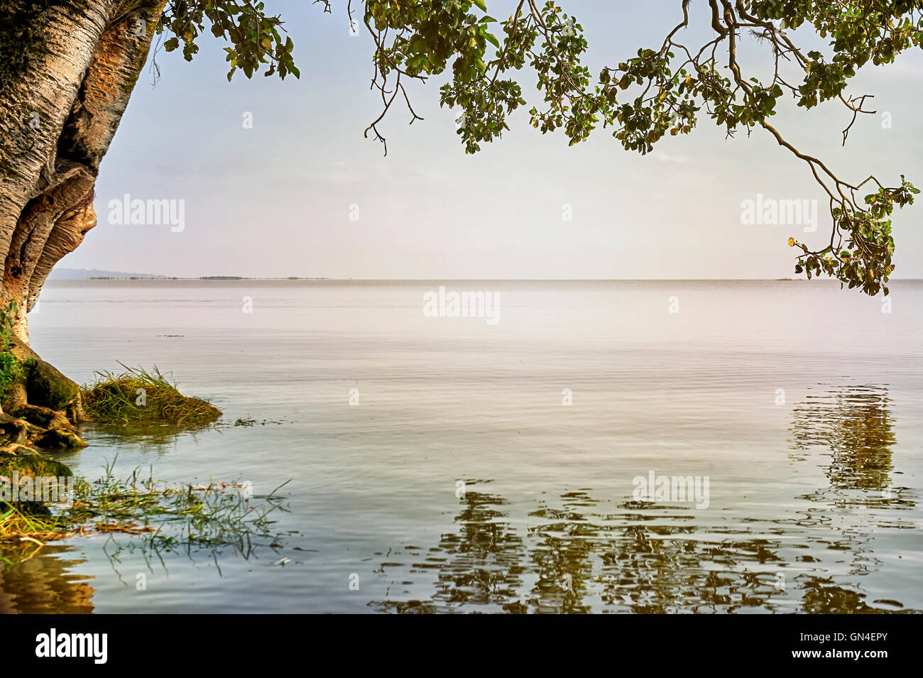 Bahir dar island ethiopia hi-res stock photography and images - Alamy