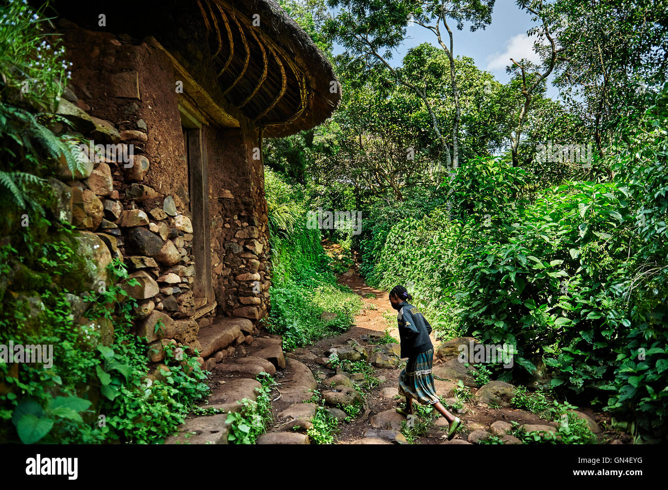 Ethiopia, Sep.11, 2012 Unidentified Ethiopian girl entering tukul house ...