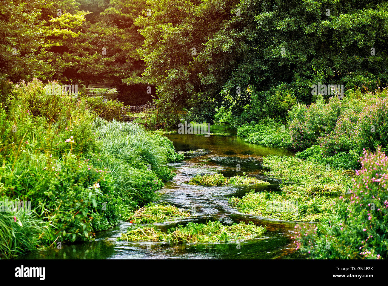 Beautiful English countryside. Stunning landscape over English ...