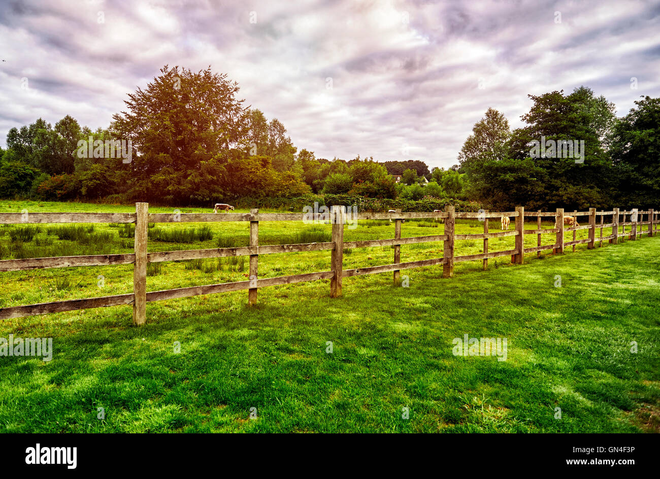 Beautiful English countryside. Stunning landscape over English ...