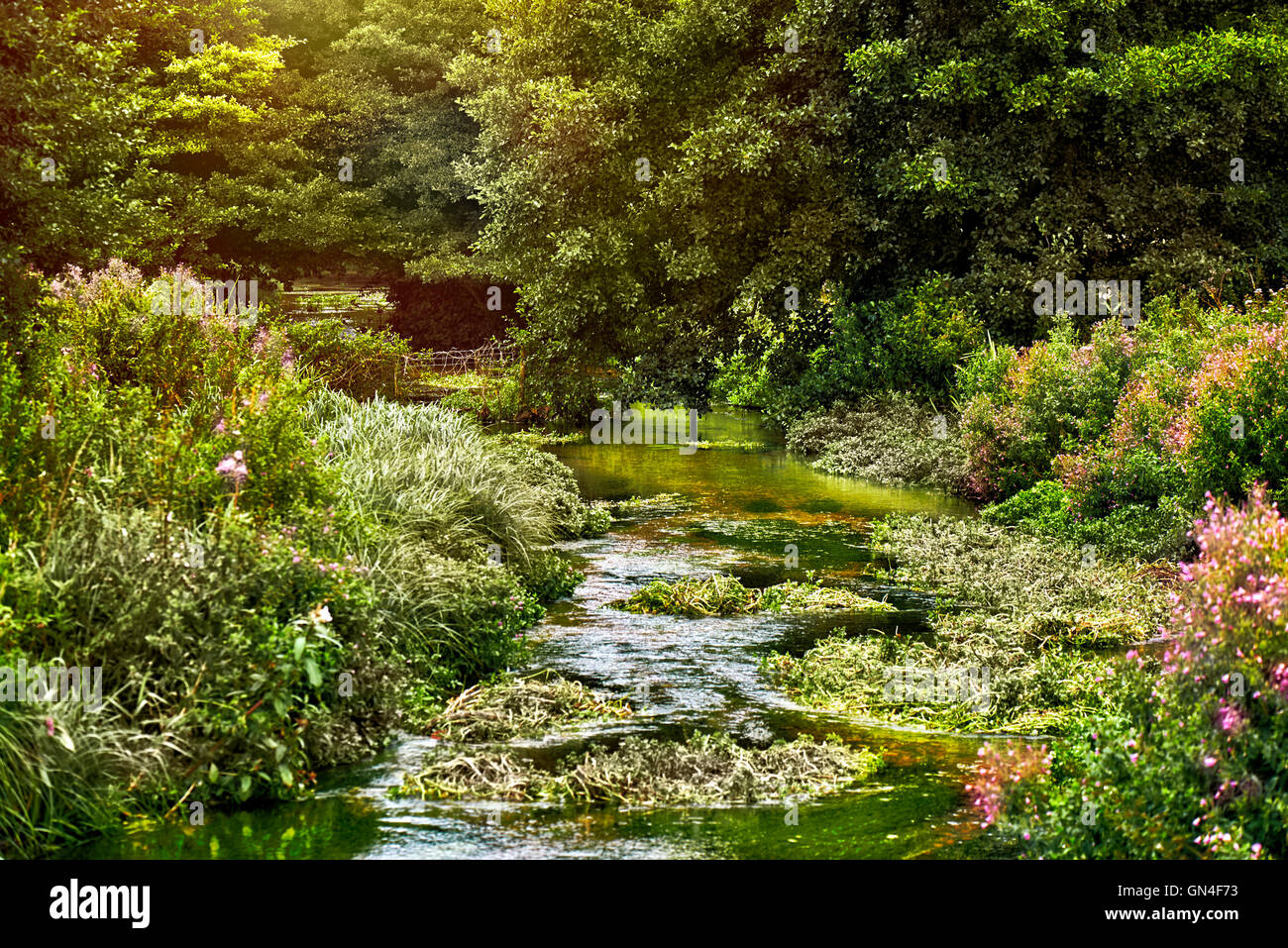 Beautiful English countryside. Stunning landscape over English ...