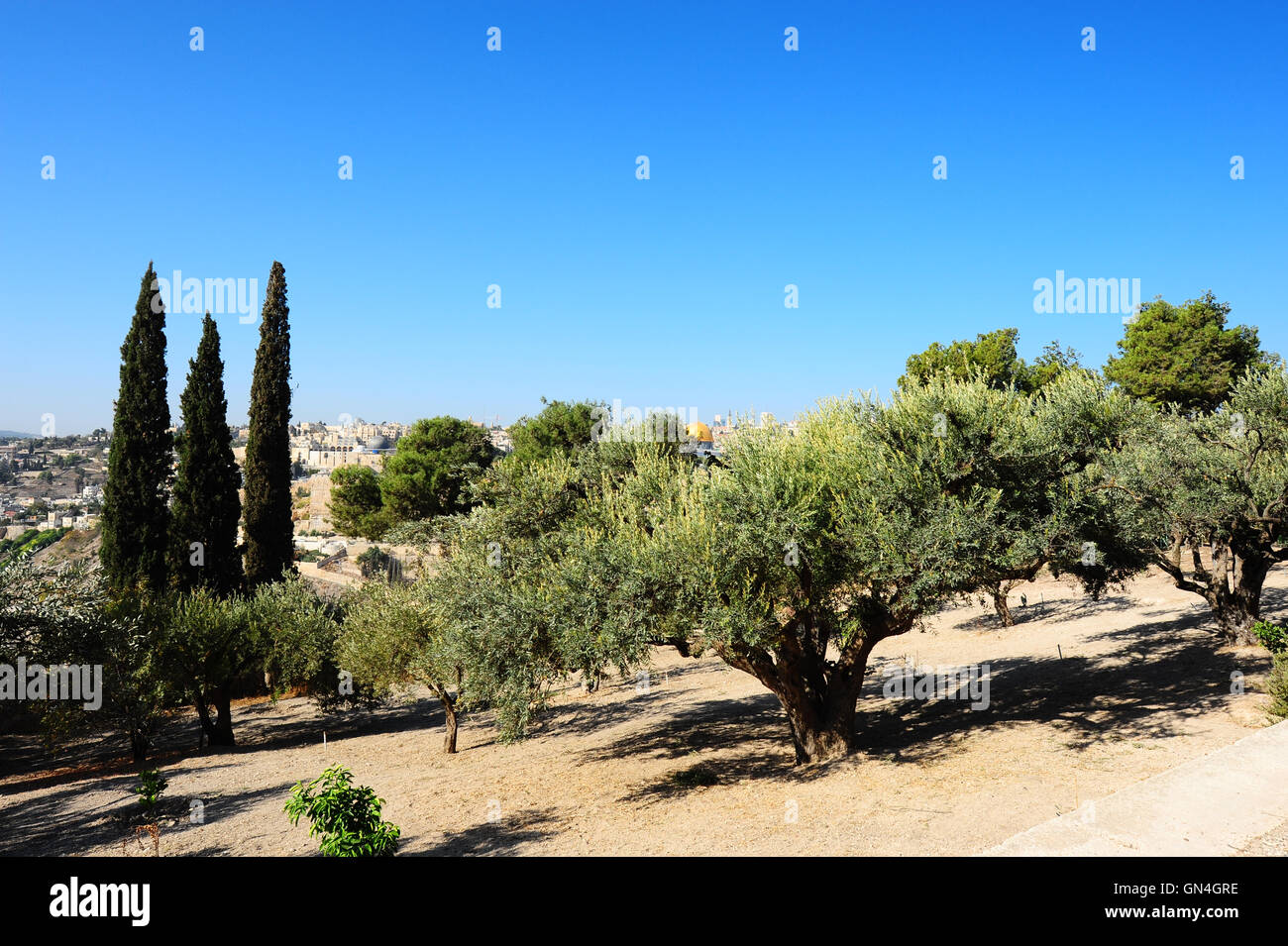 Mount of Olives Stock Photo - Alamy