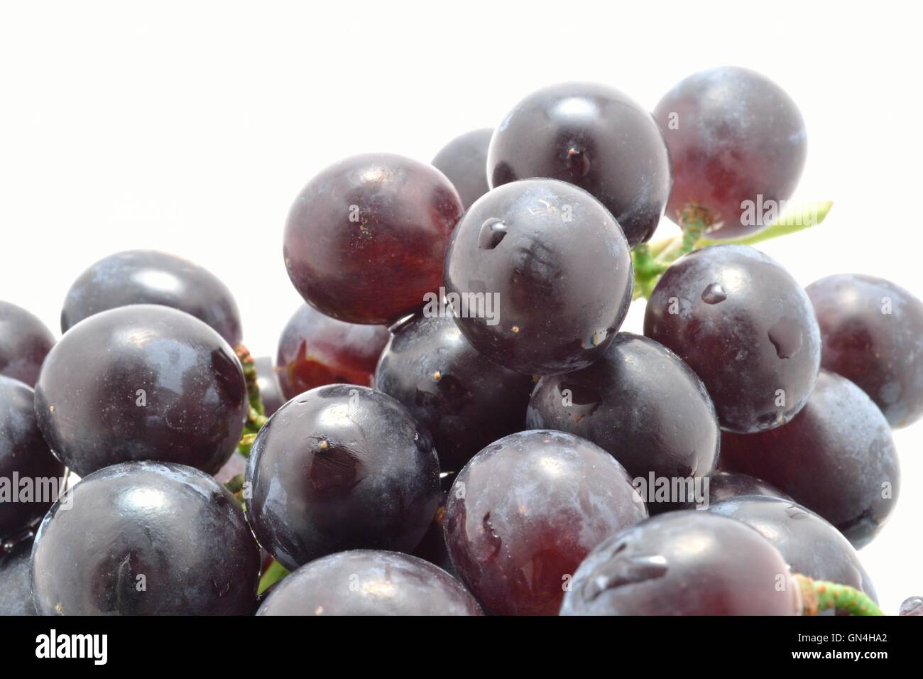 Black berry vine hi-res stock photography and images - Alamy