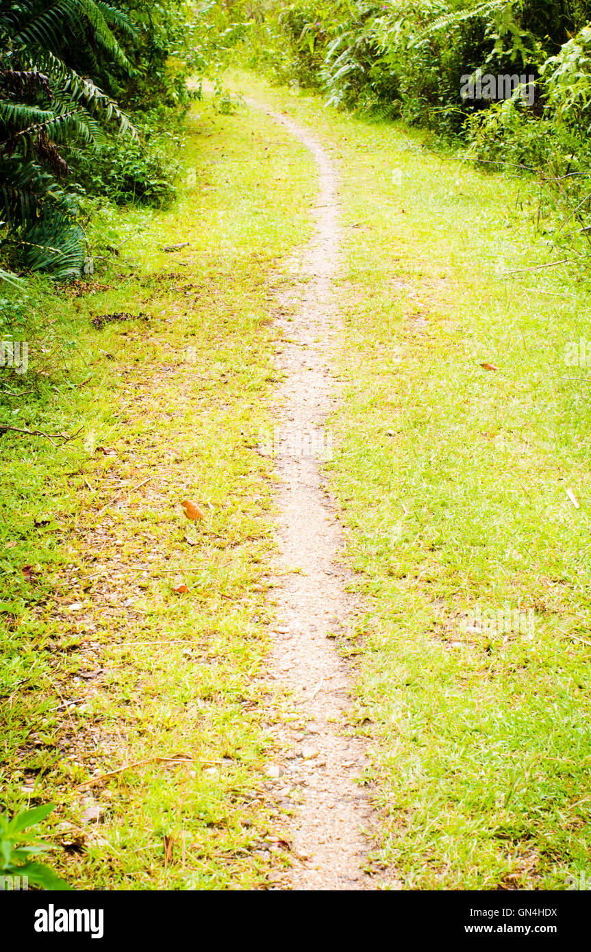 walking trail in outdoors Stock Photo - Alamy