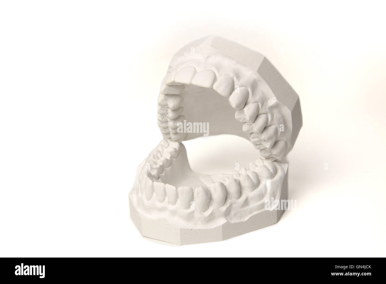 Plaster cast of set of teeth Stock Photo - Alamy