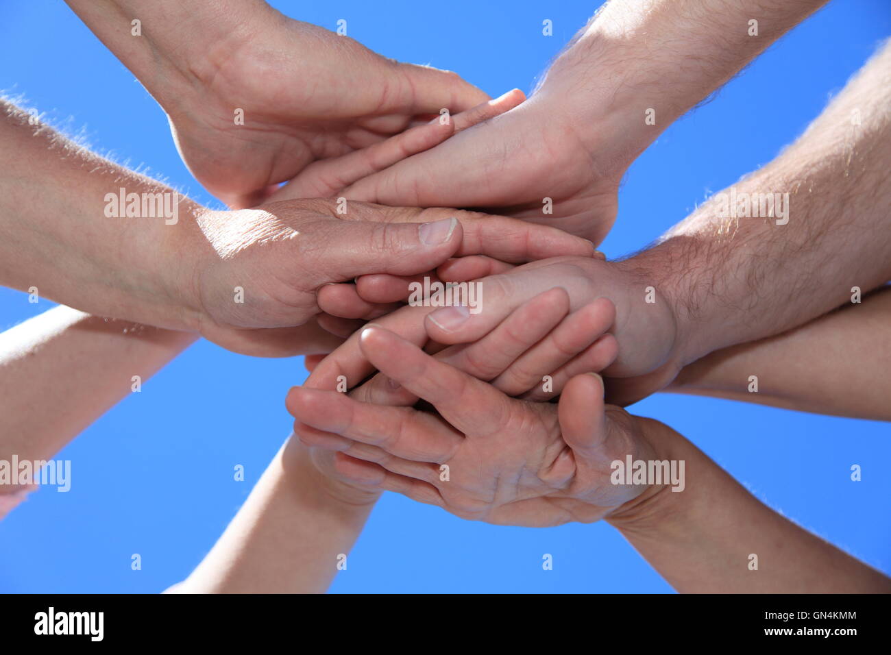Common collective hi-res stock photography and images - Alamy
