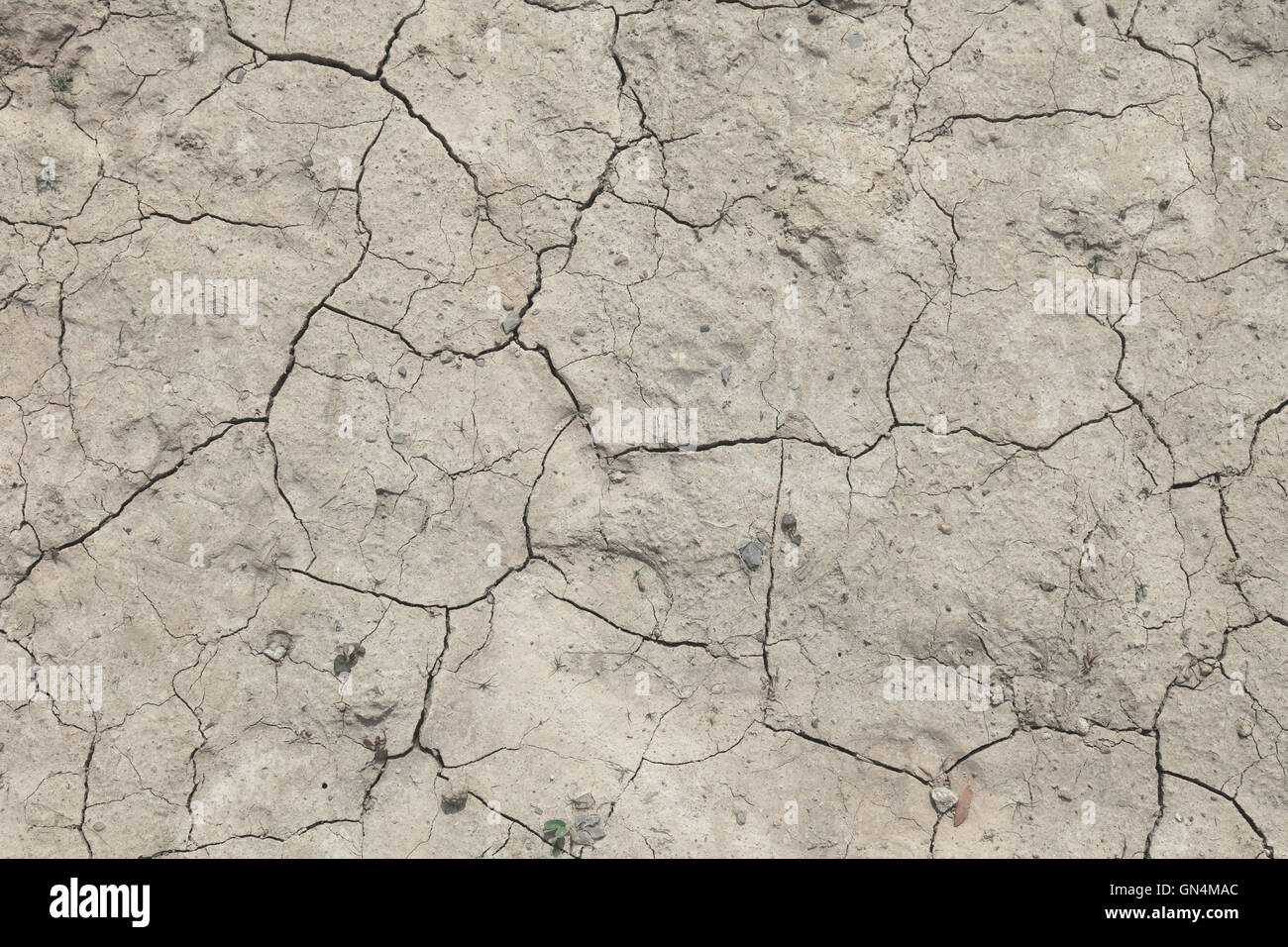 Dried out earth hi-res stock photography and images - Alamy