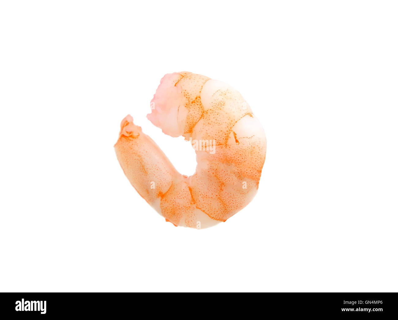 shrimp isolated on a white background Stock Photo - Alamy