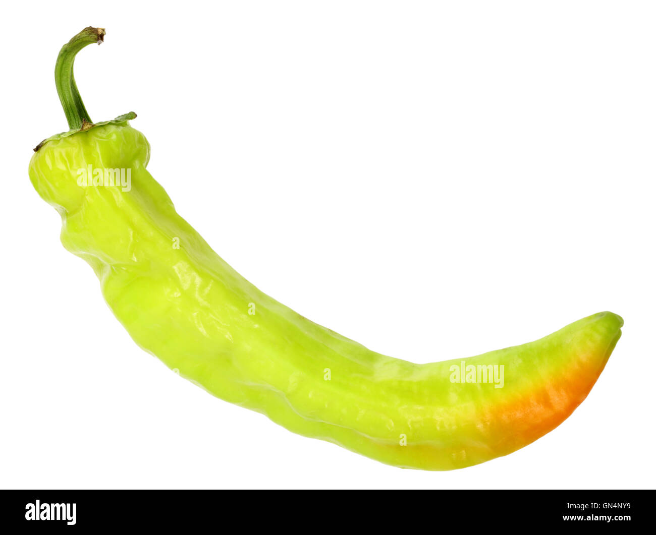 Green chilli white background hi-res stock photography and images - Alamy