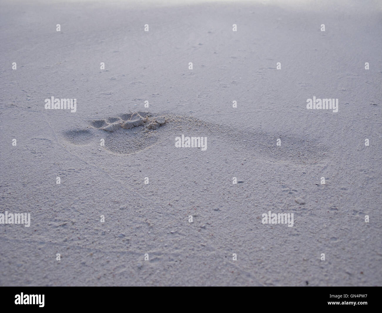 Lead foot hi-res stock photography and images - Alamy
