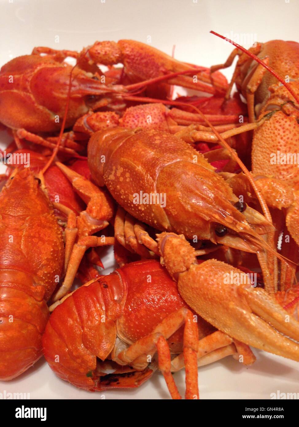 Crawfish boil hi-res stock photography and images - Alamy