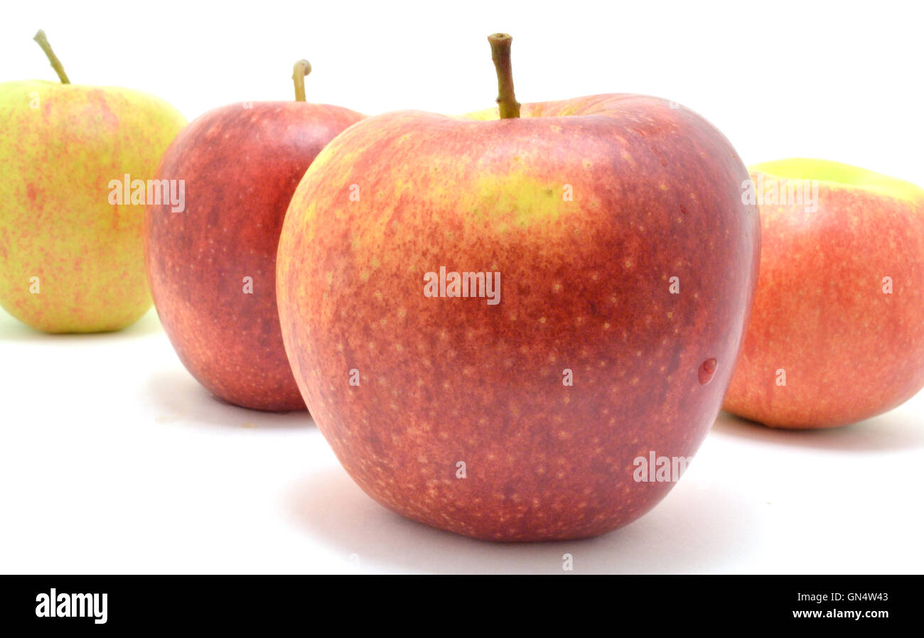4 stems hi-res stock photography and images - Alamy