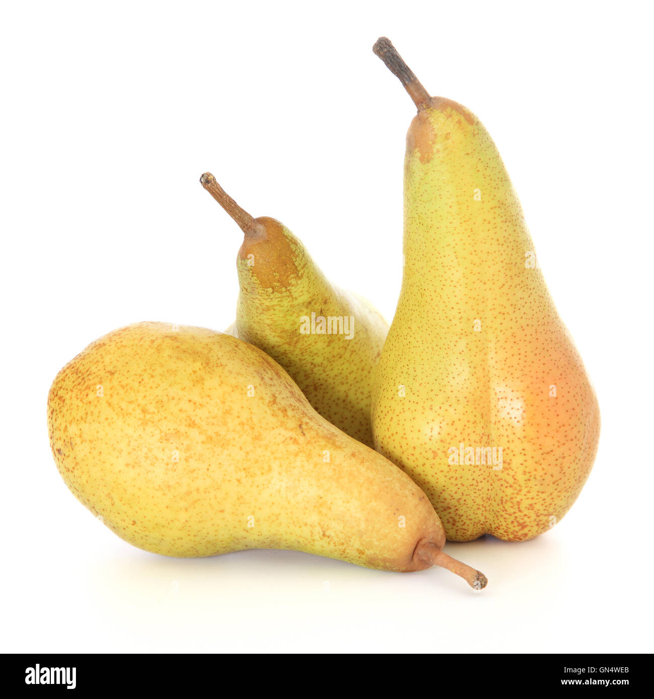 Pers hi-res stock photography and images - Alamy