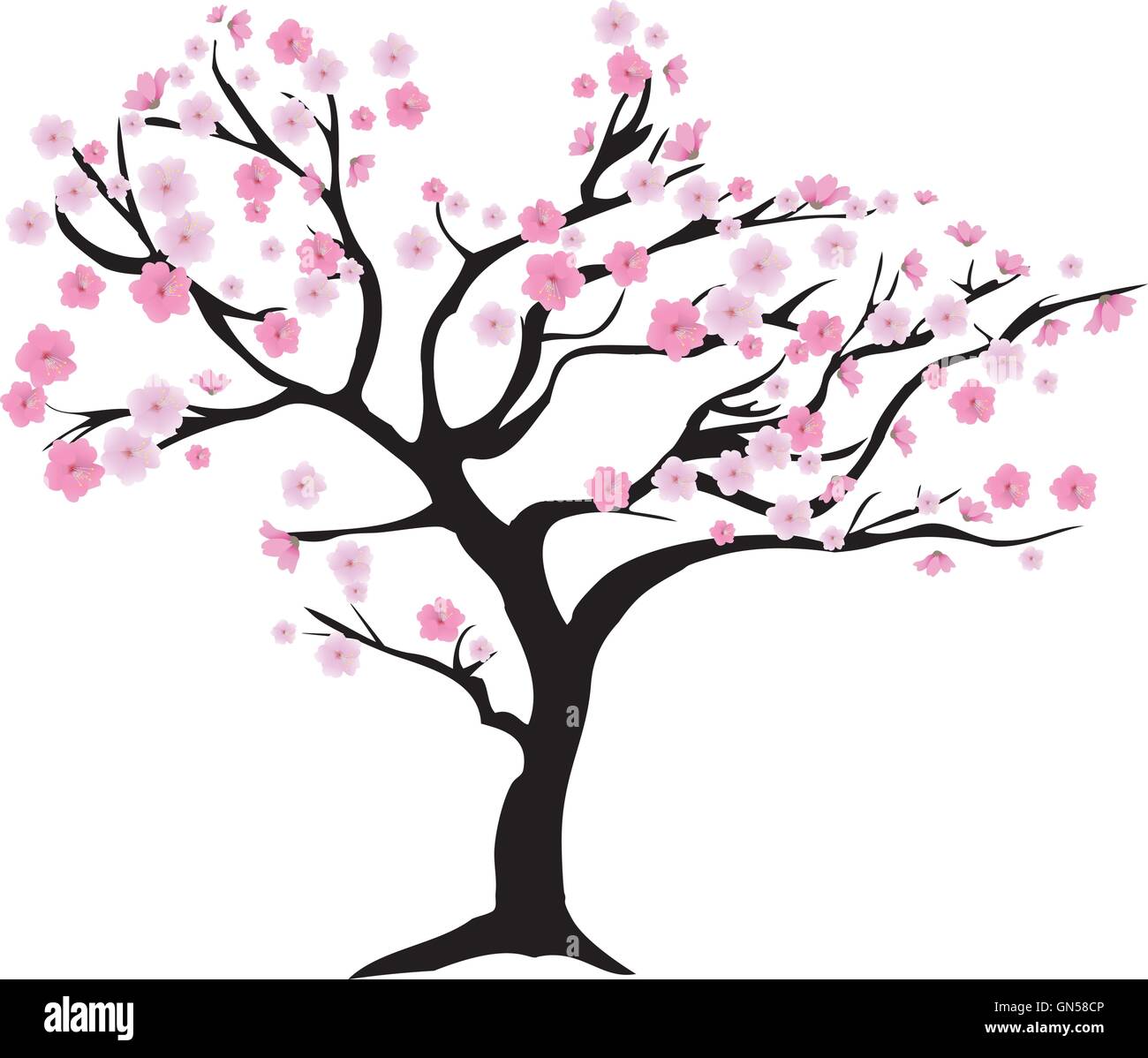 Tree cherry stem Stock Vector Images - Alamy