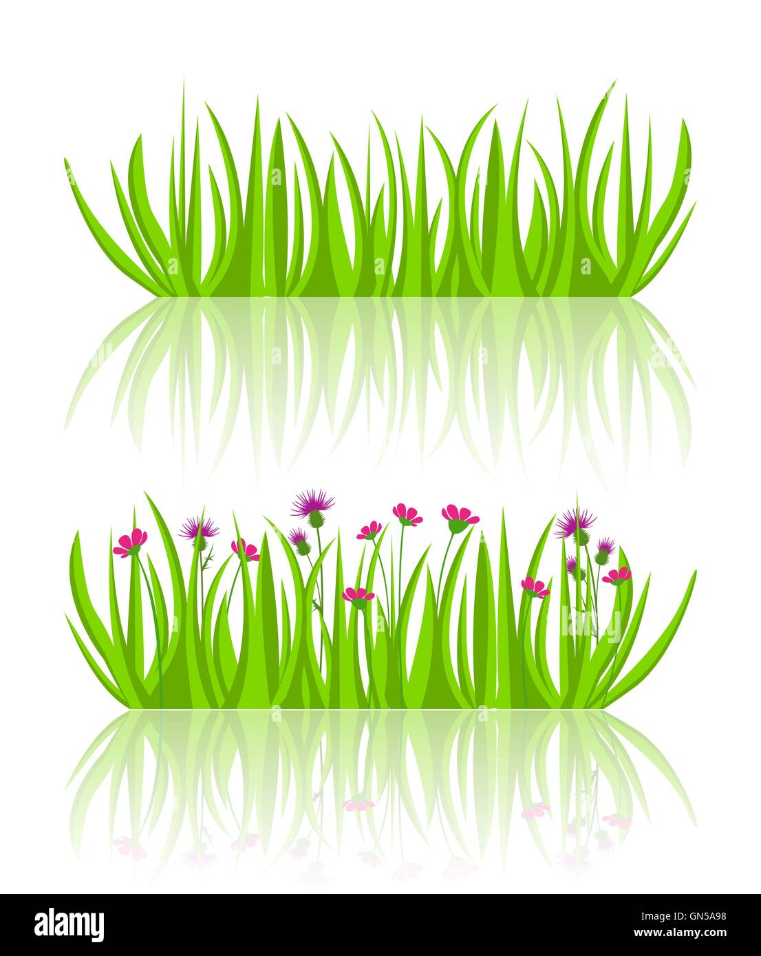 Vector illustration grass Stock Vector Image & Art - Alamy
