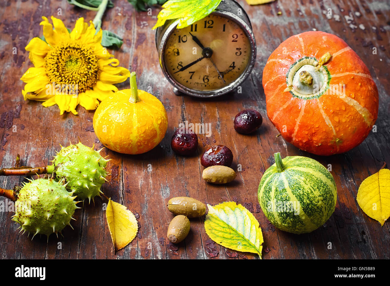 Autumn decorative pumpkin,chestnuts and retro alarm clock Stock Photo ...