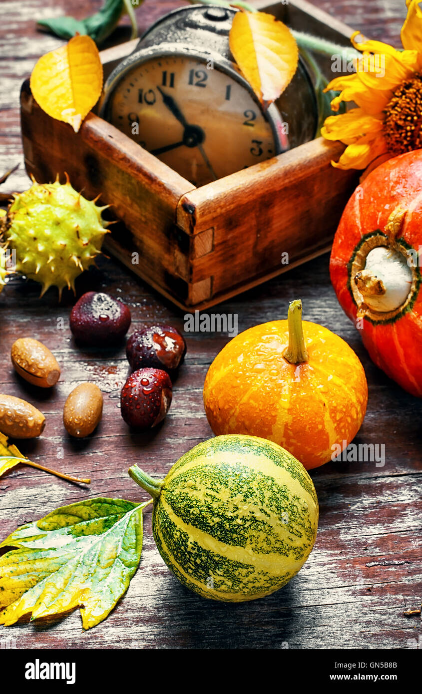 Autumn decorative pumpkin,chestnuts and retro alarm clock Stock Photo ...