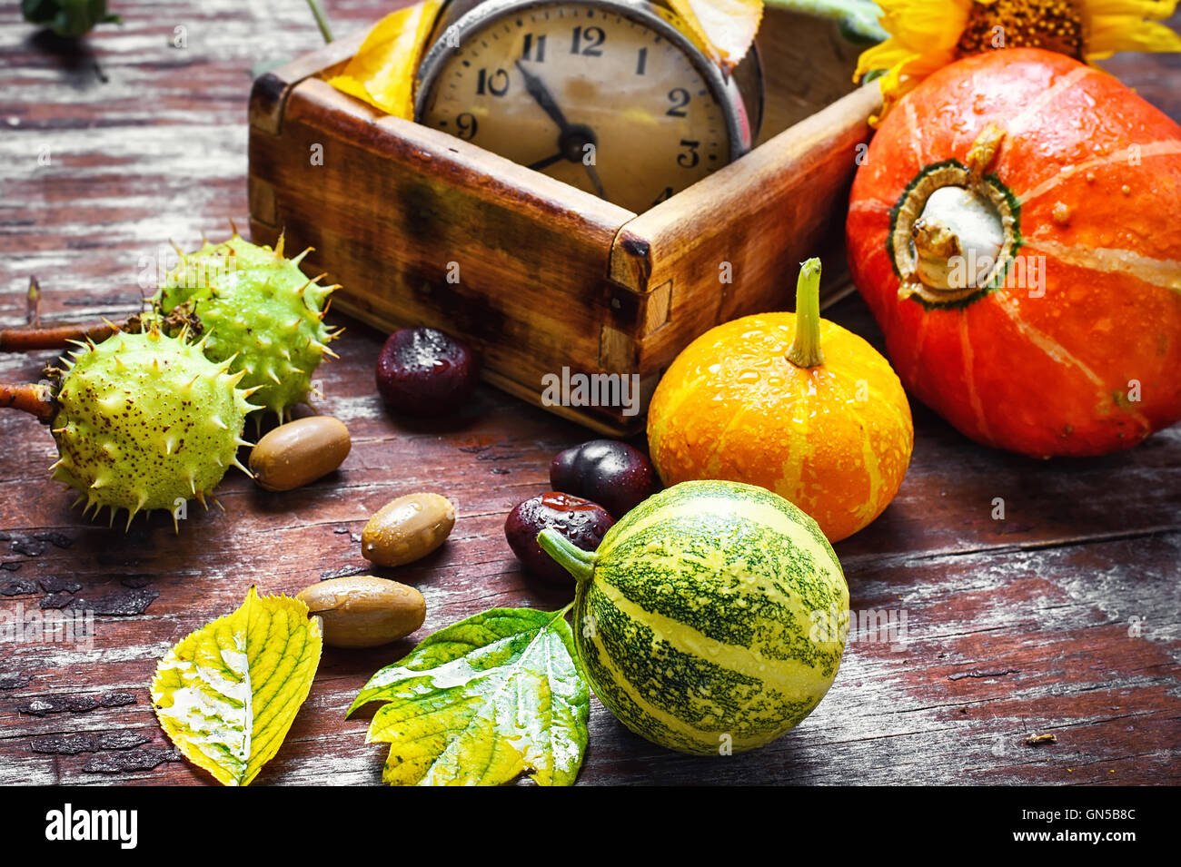 Autumn decorative pumpkin,chestnuts and retro alarm clock Stock Photo ...