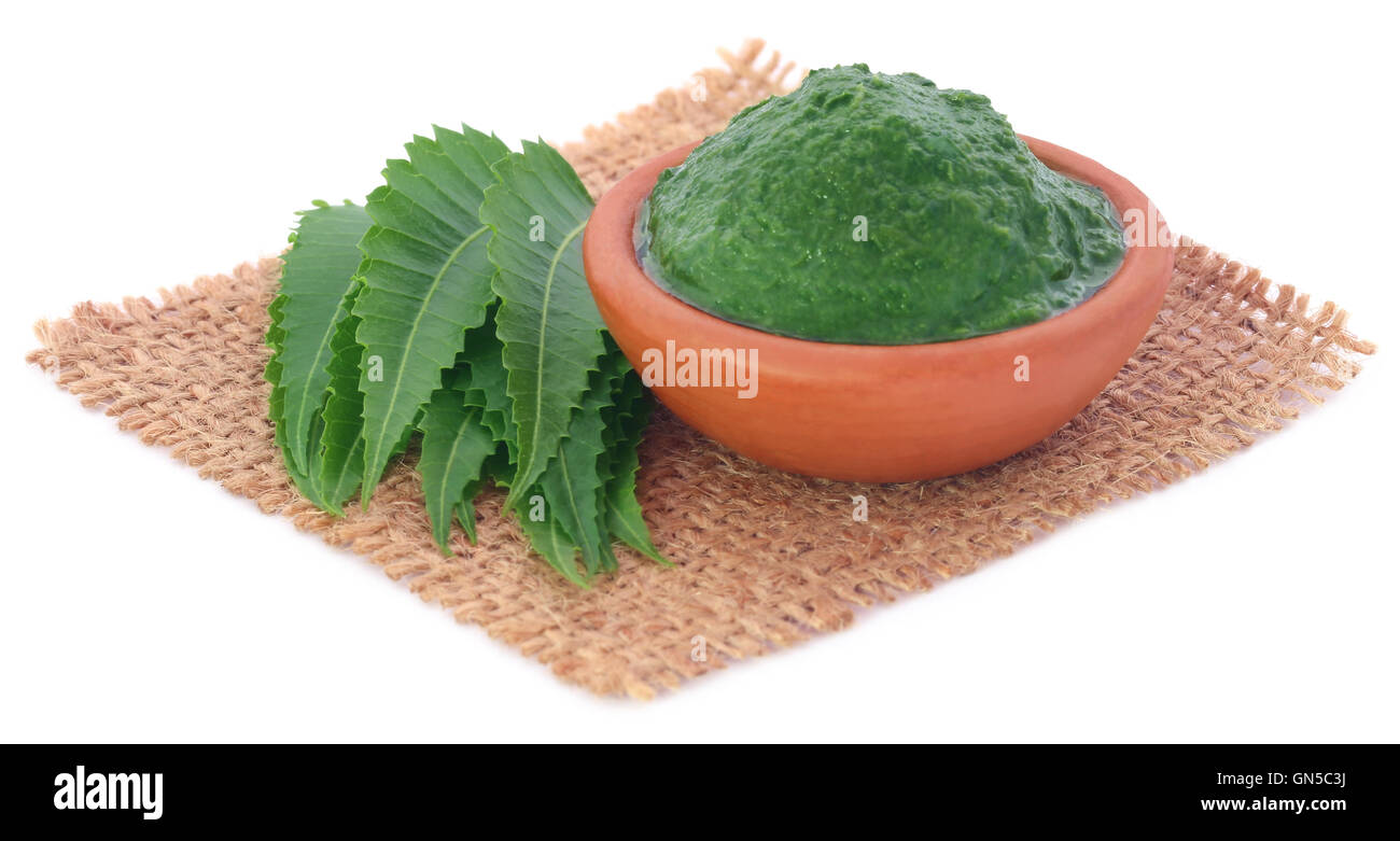Medicinal neem leaves with ground paste over white background Stock ...
