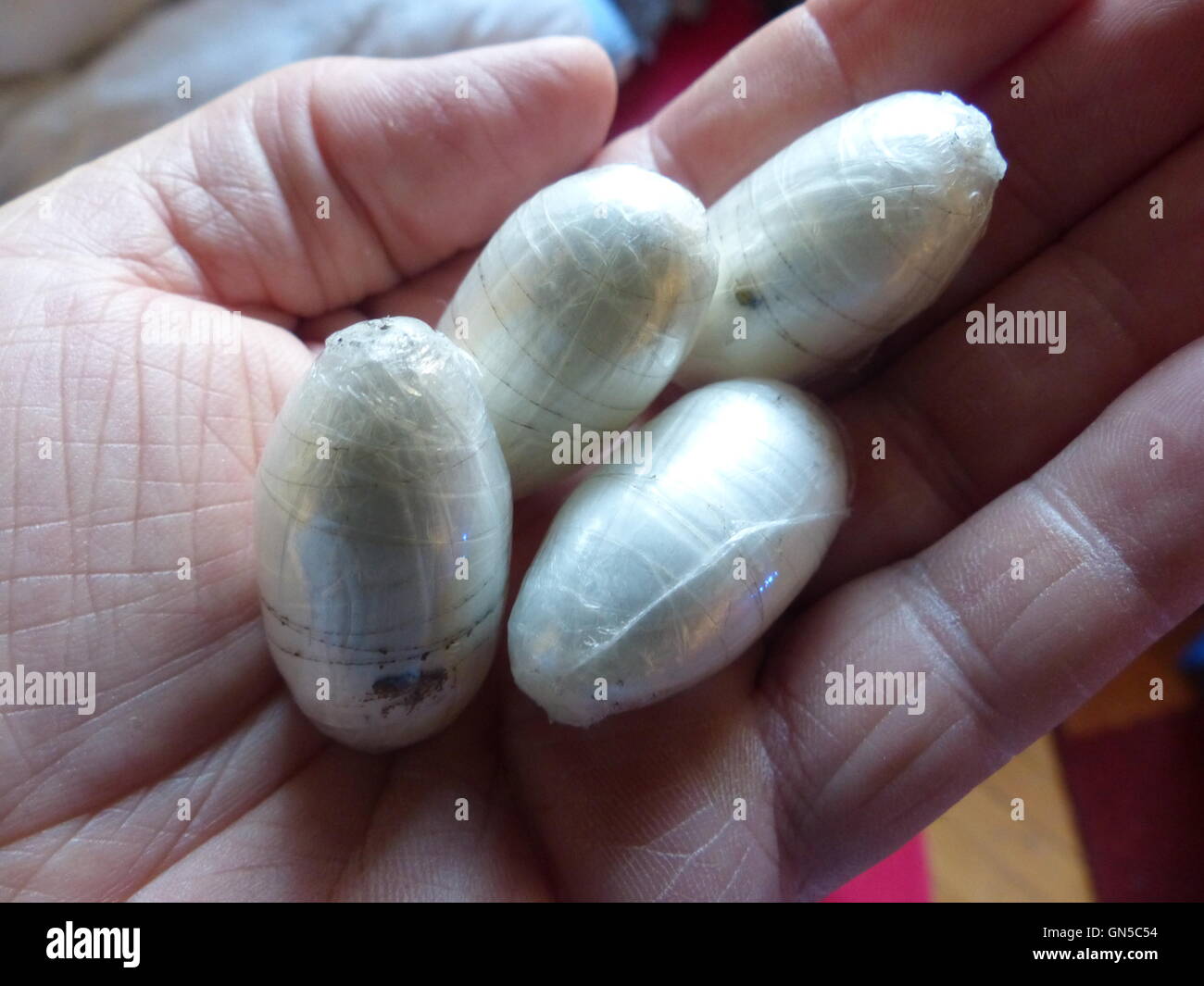 Cocaine egg which was swallowed by the smuggler, or mule, and later ...