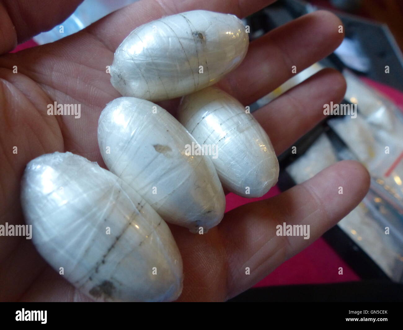 Cocaine egg which was swallowed by the smuggler, or mule, and later ...