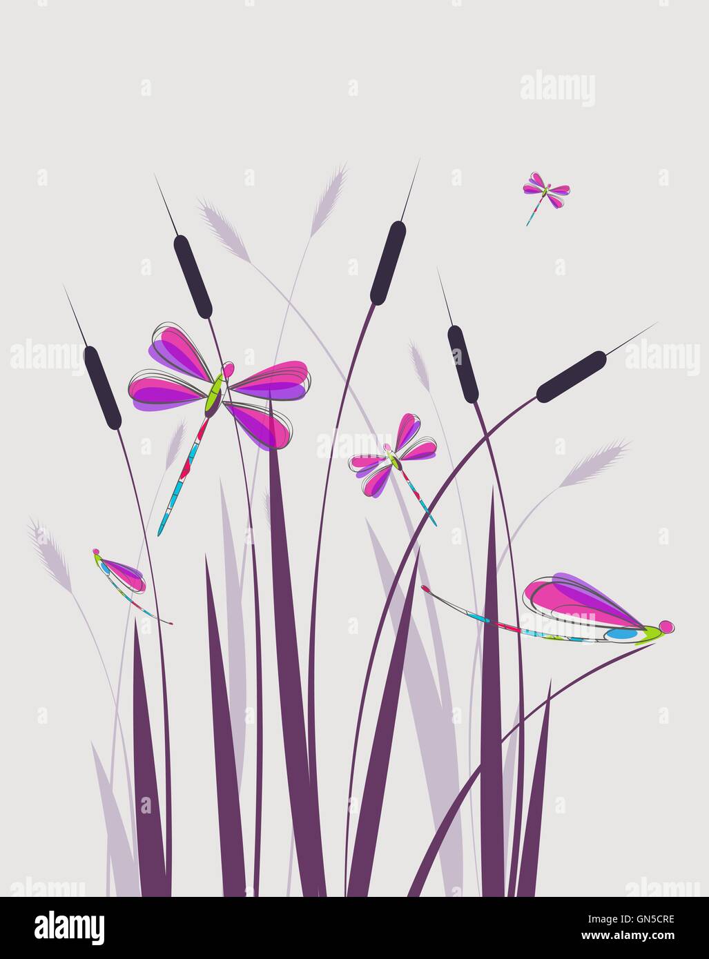 Vector illustration dragonfly Stock Vector Image & Art - Alamy