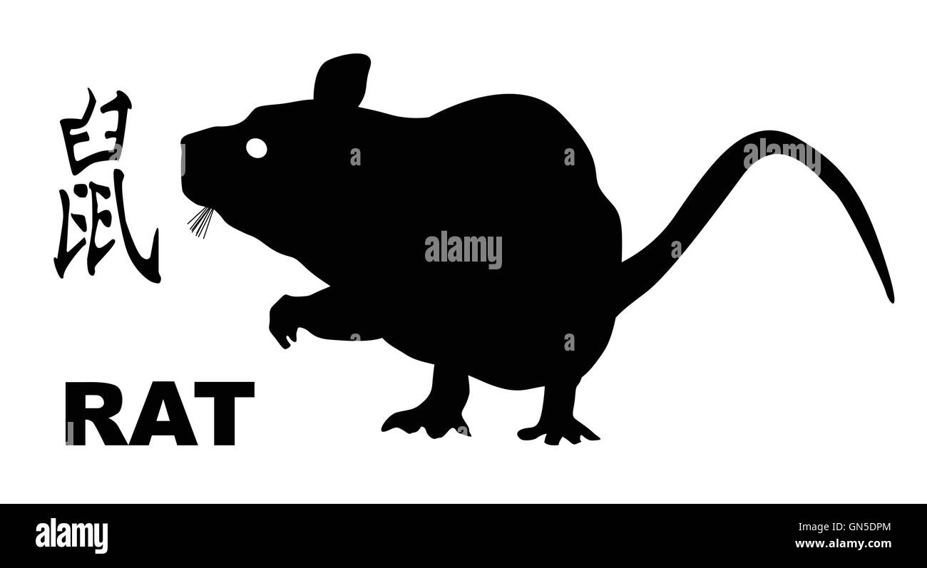 White rat new year Black and White Stock Photos & Images - Alamy