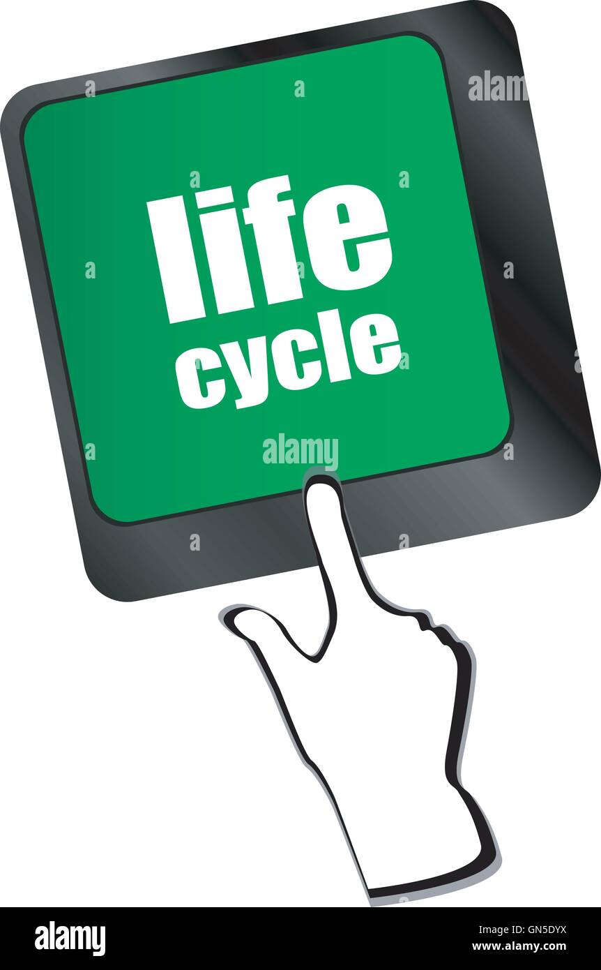 life cycle on laptop keyboard key Stock Vector Image & Art - Alamy