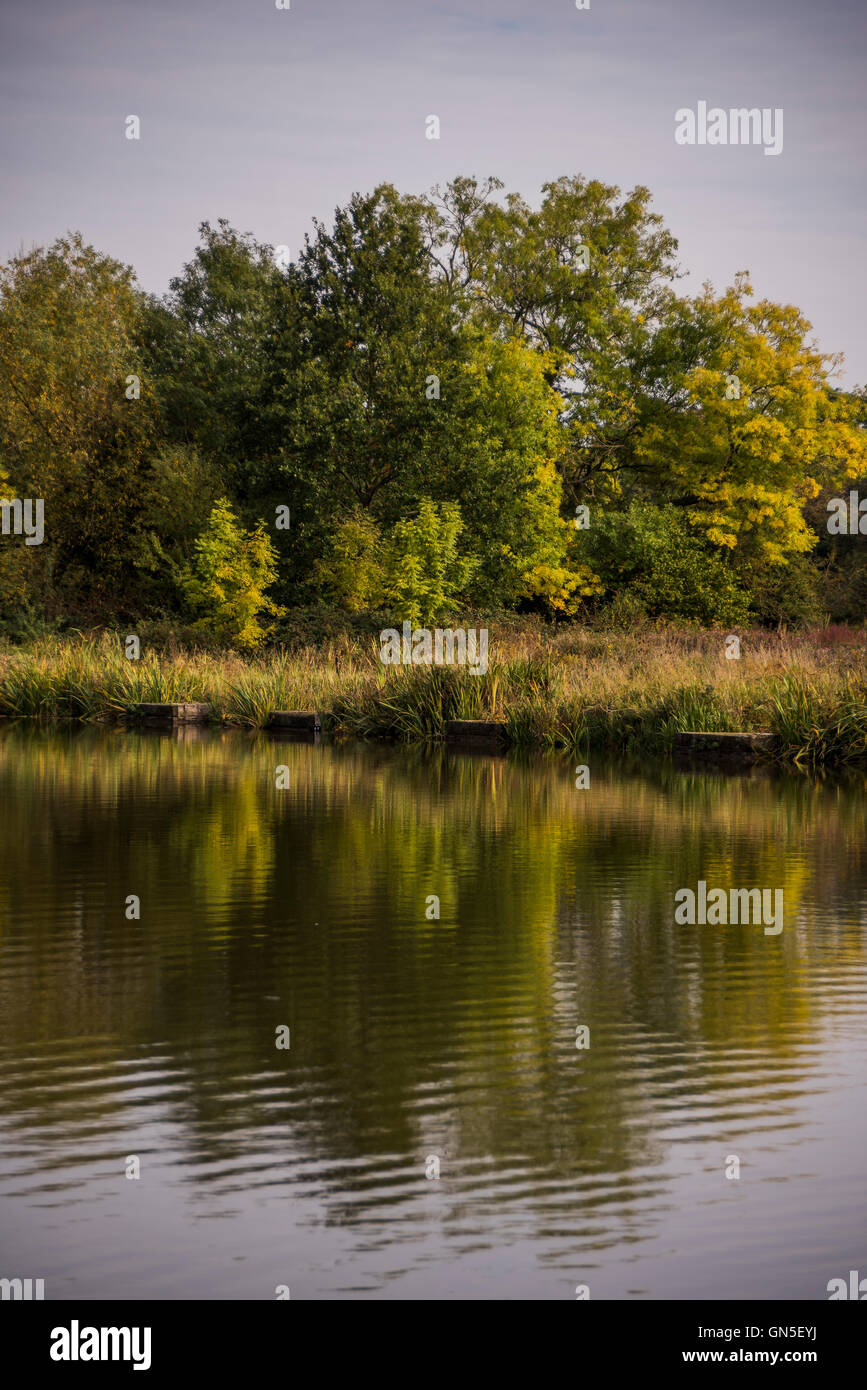 river, avon, uk, warwick, england, warwickshire, city, town, county ...